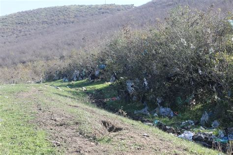 პლანეტა თუ პლასტმასა