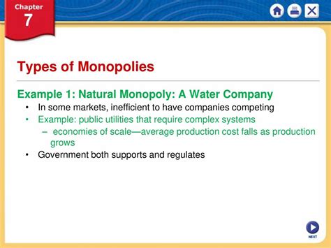 Government Monopoly Examples