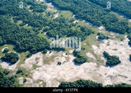 Aerial View Over Letea Forest In The Danube Delta Romania The Forest