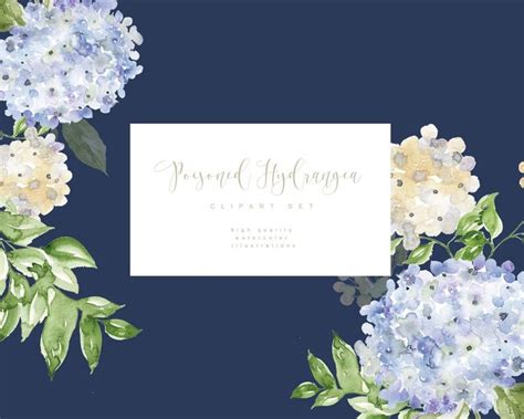 Watercolor Hydrangea Clipart Blue Hydrangea Clipart Watercolor Floral
