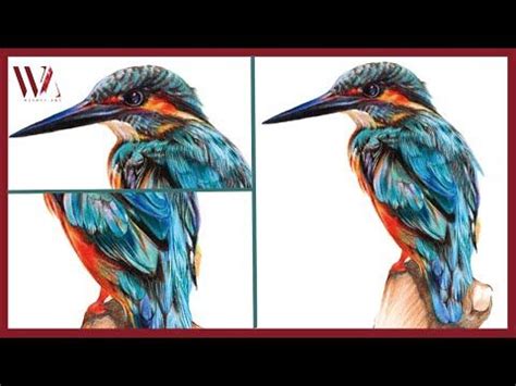 How To Draw A Realistic Bird With Colored Pencils Step By Step Drawing Tutorial Windy Shih