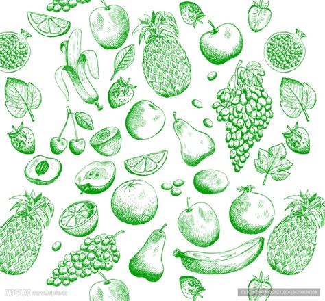 水果素描设计图水果生物世界设计图库昵图网