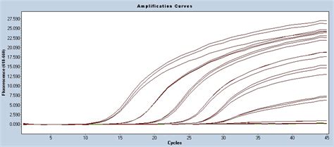 Standard Curve Equation Qpcr At Nathan Ronk Blog