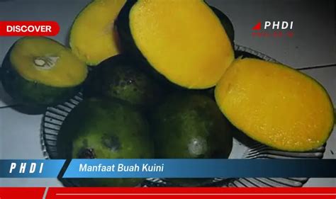 Ketahui Manfaat Buah Kuini Yang Bikin Kamu Penasaran