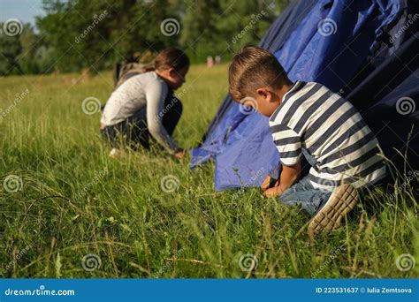 Brother And Sister Learn To Pitch A Tent Stock Image Image Of Camp