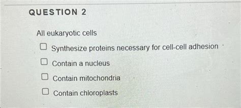 Solved QUESTION All Eukaryotic Cells Synthesize Proteins Chegg