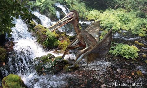 Ctenochasma Pictures And Facts The Dinosaur Database