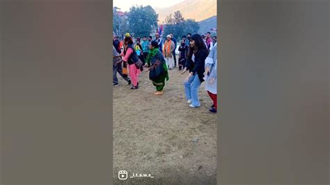 Himachal Folk Dance Himachal Culture Kullu Nati Shorts Youtube