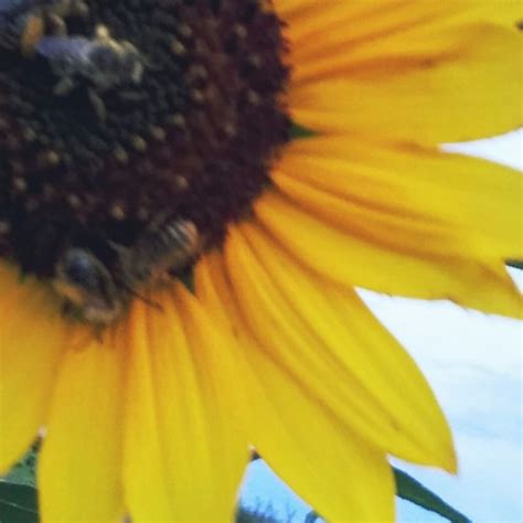 Stream Bojangles Dylan Eggers Music Listen To Songs Albums