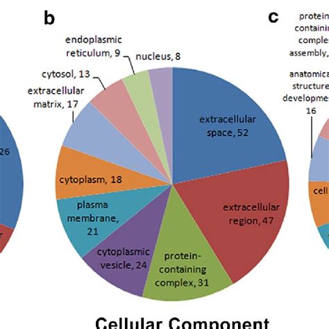 Go Annotation Of Differential Expression Of Proteins In Type 2