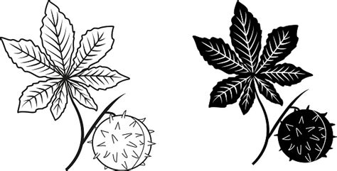 밤나무 잎 검정과 백인의 벡터 세트입니다 색칠 공부를 위한 그림입니다 밤나무 벡터 Ico 가을에 대한 스톡 벡터 아트 및 기타 이미지 Istock