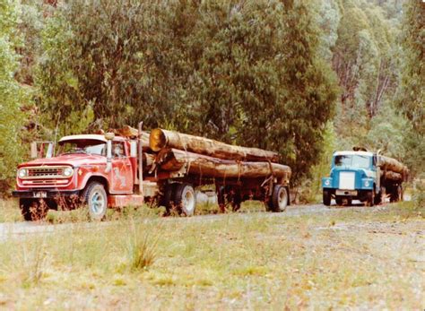 East Coast Australia Logging Sawmilling And Sleeper Cutter History