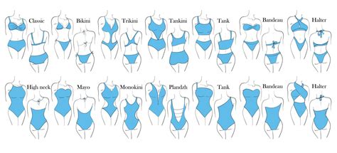 Types Of Womens Swimwear On The Figure Illustration Of A One Piece