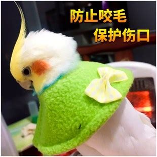 鹦鹉鸟伊丽莎白保暖衣服防咬毛啄毛受伤保护项圈脖套斗篷用品用具 阿里巴巴