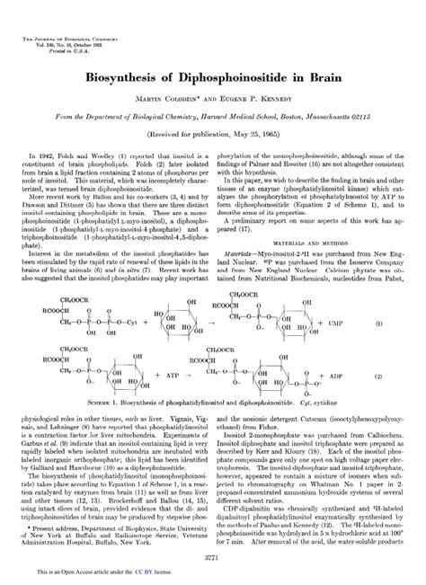 Pdf Biosynthesis Of Diphosphoinositide In Brain