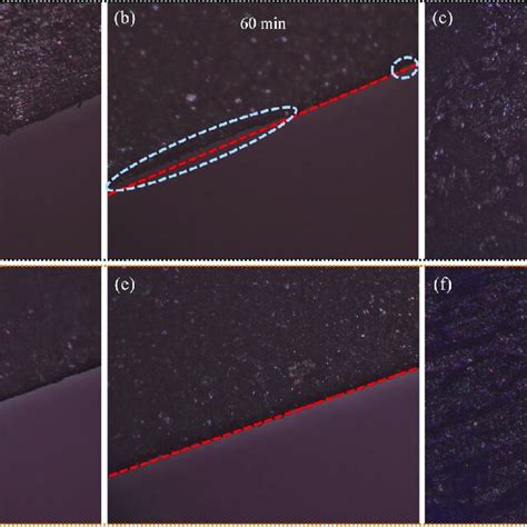 Comsol Models Of The Electric Current Density Distributions For The A Download Scientific