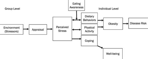 Initial Theoretical Framework For The Study Download Scientific Diagram
