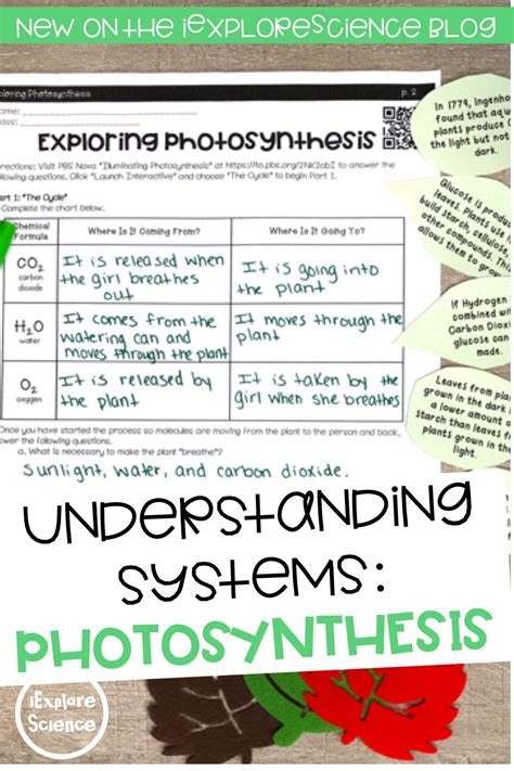 Using Photosynthesis To Understand Systems Exploring Processes Inputs