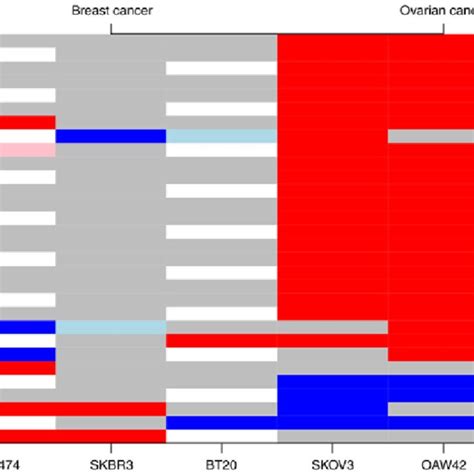 Mutual Expression Differences Of Mirna Types In The Comparison Of