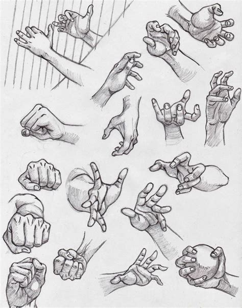 Hand Anatomy Drawing Reference Anime Drawings Anatomy Drawing Anatomy