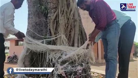 जागतिक पर्यावरण दिनानिमित्त वडाच्या झाडासह परिसराची स्वछता गडहिंग्लज