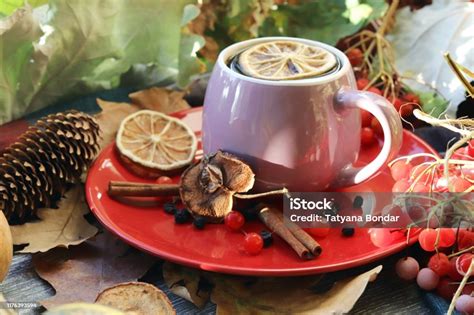 뜨거운 음료 딸기 호박 향신료 스카프 창의 배경에 단풍 한 잔 0명에 대한 스톡 사진 및 기타 이미지 0명 10월 가을 Istock