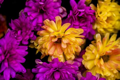 Julia Wigger Juliarwigger • Instagram Photos And Videos