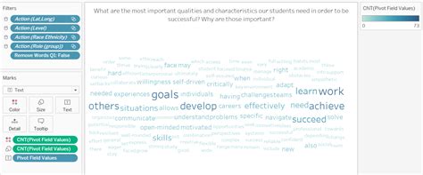 Filterable Word Clouds In Tableau With Pivots — Ann Pregler