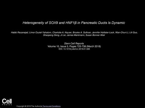 Heterogeneity Of Sox9 And Hnf1β In Pancreatic Ducts Is Dynamic Ppt