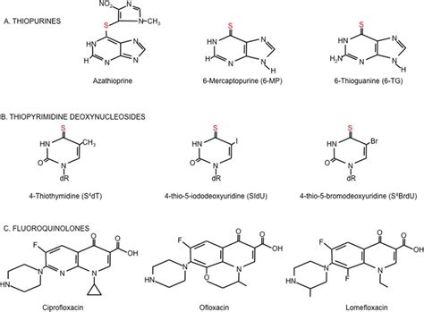 Structures Of Uva Photosensitisers Azathioprine Mercaptopurine And