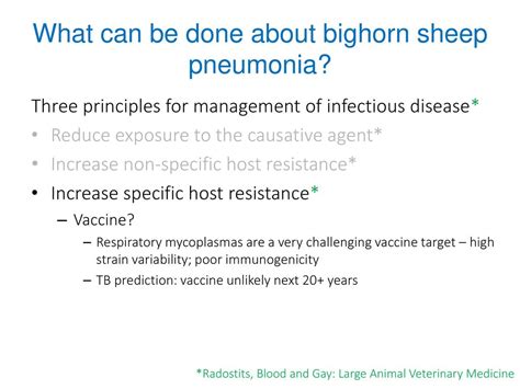 Pneumonia Disease Process In Bighorn Sheep And New BLM Wild Sheep