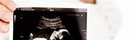 What You Should Know About Choroid Plexus Cysts — Tinley Park Mom Blog