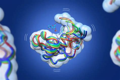 Enzyme Là Gì Những Thông Tin Bạn Cần Biết Về Enzyme Trong Cơ Thể