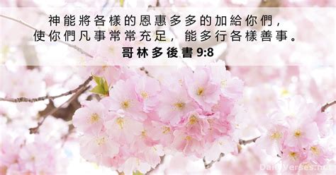 Dailyverses Net