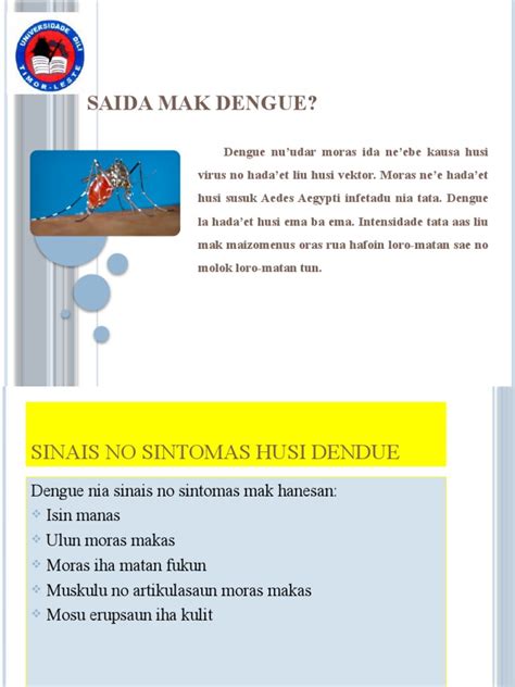 Saida Mak Dengue Pdf