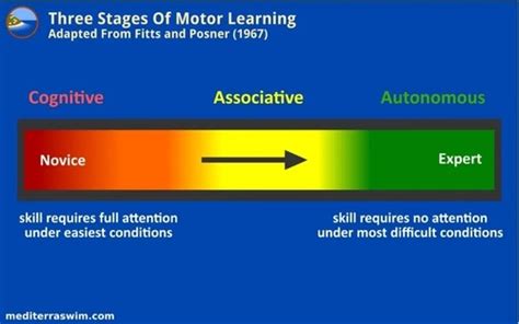 Motor Learning Or Relearning Flashcards Quizlet