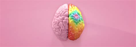 빈 Bg에 3d 렌더링 일러스트 왼쪽 분홍색과 오른쪽 다채로운 두뇌 우뇌반구에 대한 스톡 사진 및 기타 이미지 우뇌반구