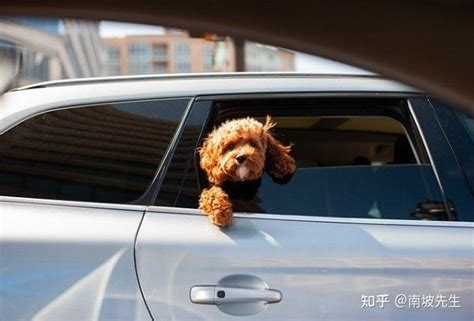 提高停车费就能让停车不再难？提出这项建议的科学家被骂惨 知乎