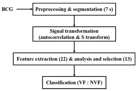 Ventricular Fibrillation Algorithm