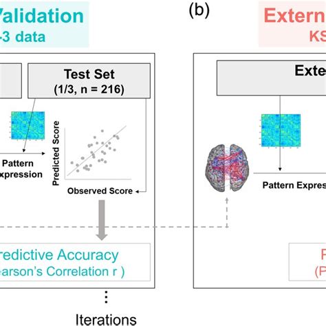 Schematic Overview Of The Connectome‐based Predictive Modeling Train