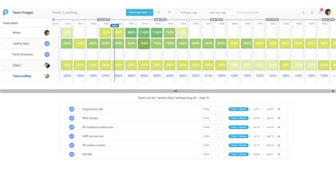 Using Proggio S Resource Management Team Loading Proggio