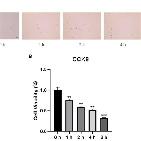Results Of Cell Viability Assay Of Huh 7 Cells After O 3 Exposure A