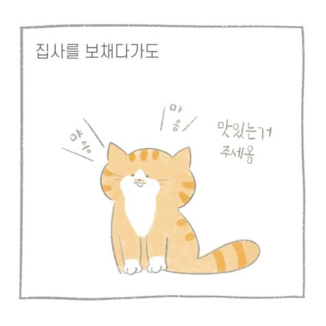 입맛 다시는 고양이 만날툰