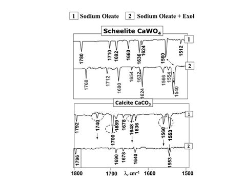 Infrared Spectroscopies On Calcite And Scheelite Surfaces Using Download Scientific Diagram