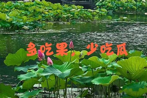 明日出伏，老人：“出伏吃3宝，1年病不扰”，具体哪3宝？莫忘老传统 知乎