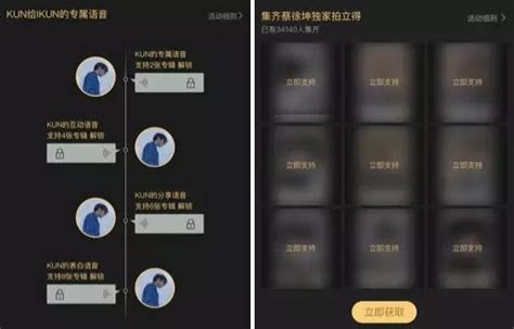 历时18个月花费3 7亿偶像限定团的粉丝有多疯狂 CBNData