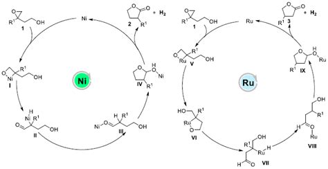 Metal Catalyst Controlled Divergent Synthesis Of γ Butyrolactones Via
