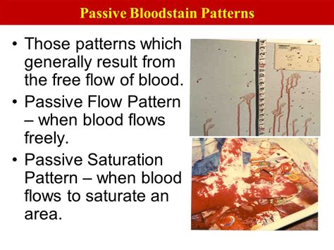 Bloodstain Pattern Analysis Ppt Video Online Download