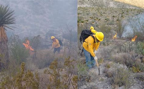 Coahuila Registra 8 Incendios Forestales Activos Grupo Milenio
