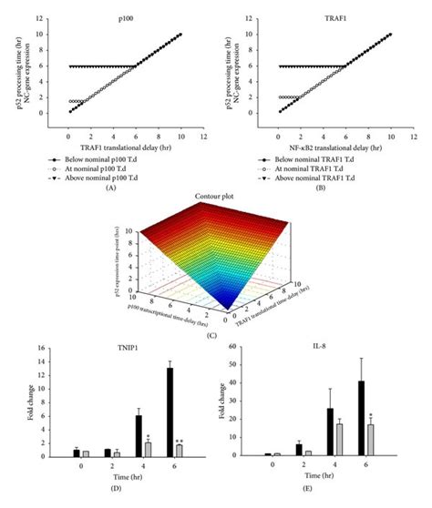 Effect of EMT on canonical noncanonical NF κB pathway coupling a